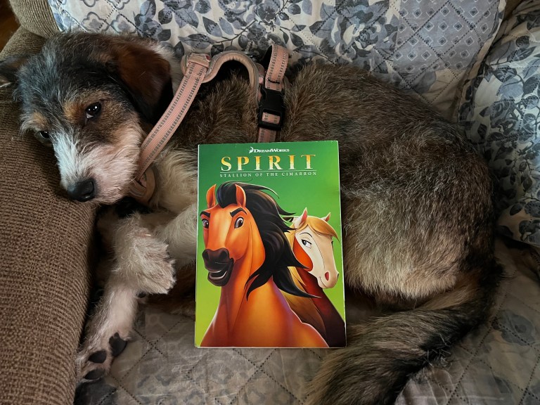 Spirit: Stallion of the Cimarron – Warren Watched A Movie