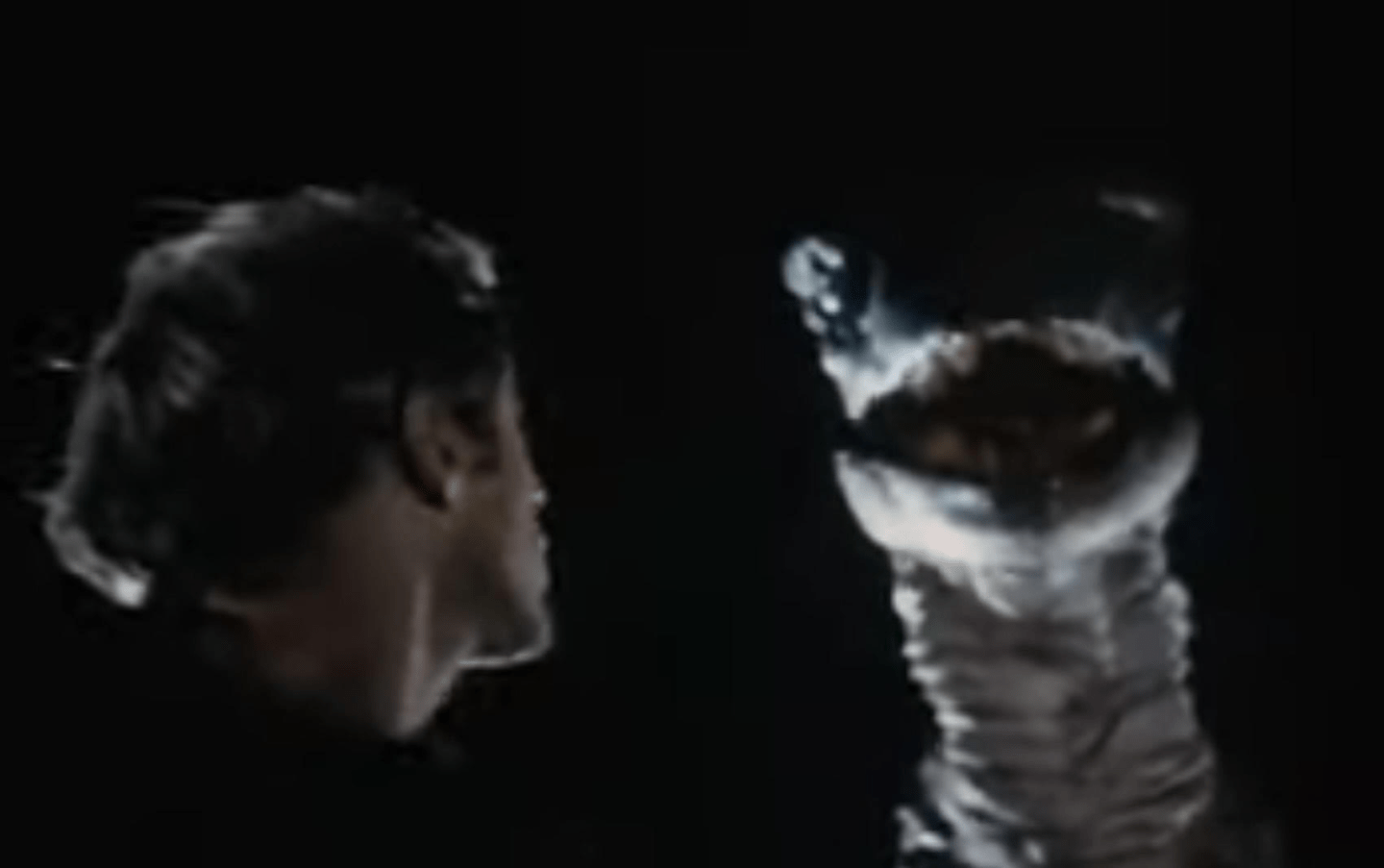 Carnosaur – Warren Watched A Movie